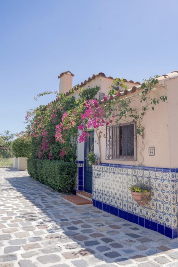 14 Spanish Mediterranean Homes Showcasing Classic Design and Natural ...